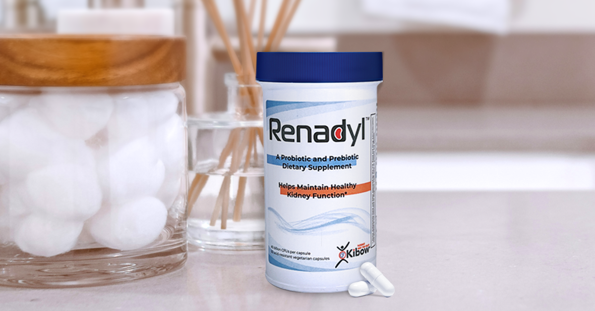 Renadyl® - Probiotics for Kidney Health – Kibow