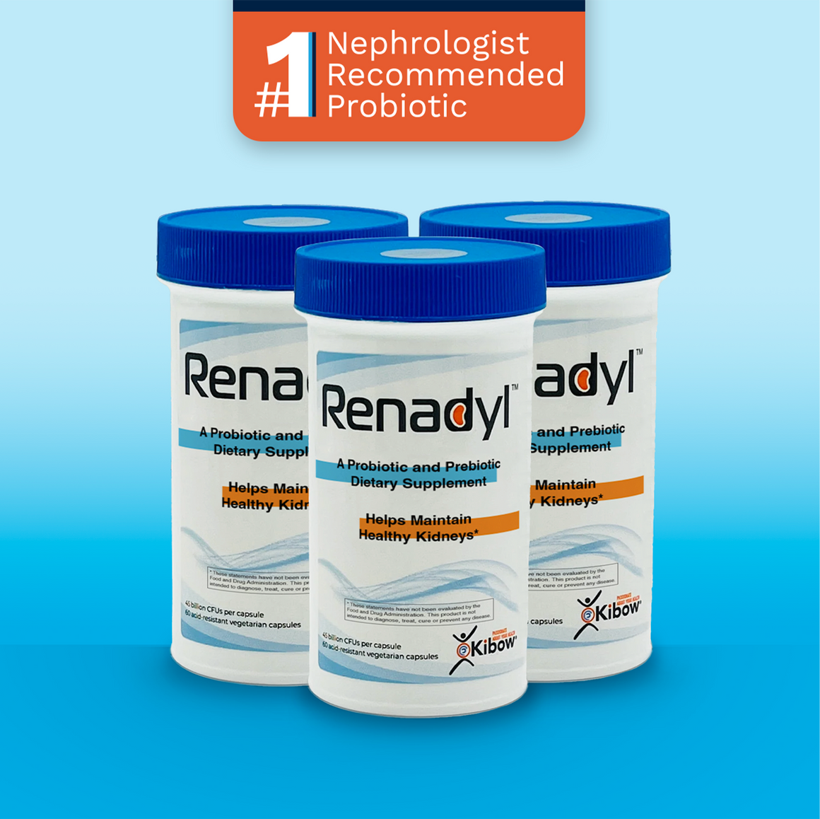Buy Renadyl: Support for Healthy Kidneys | Kibow