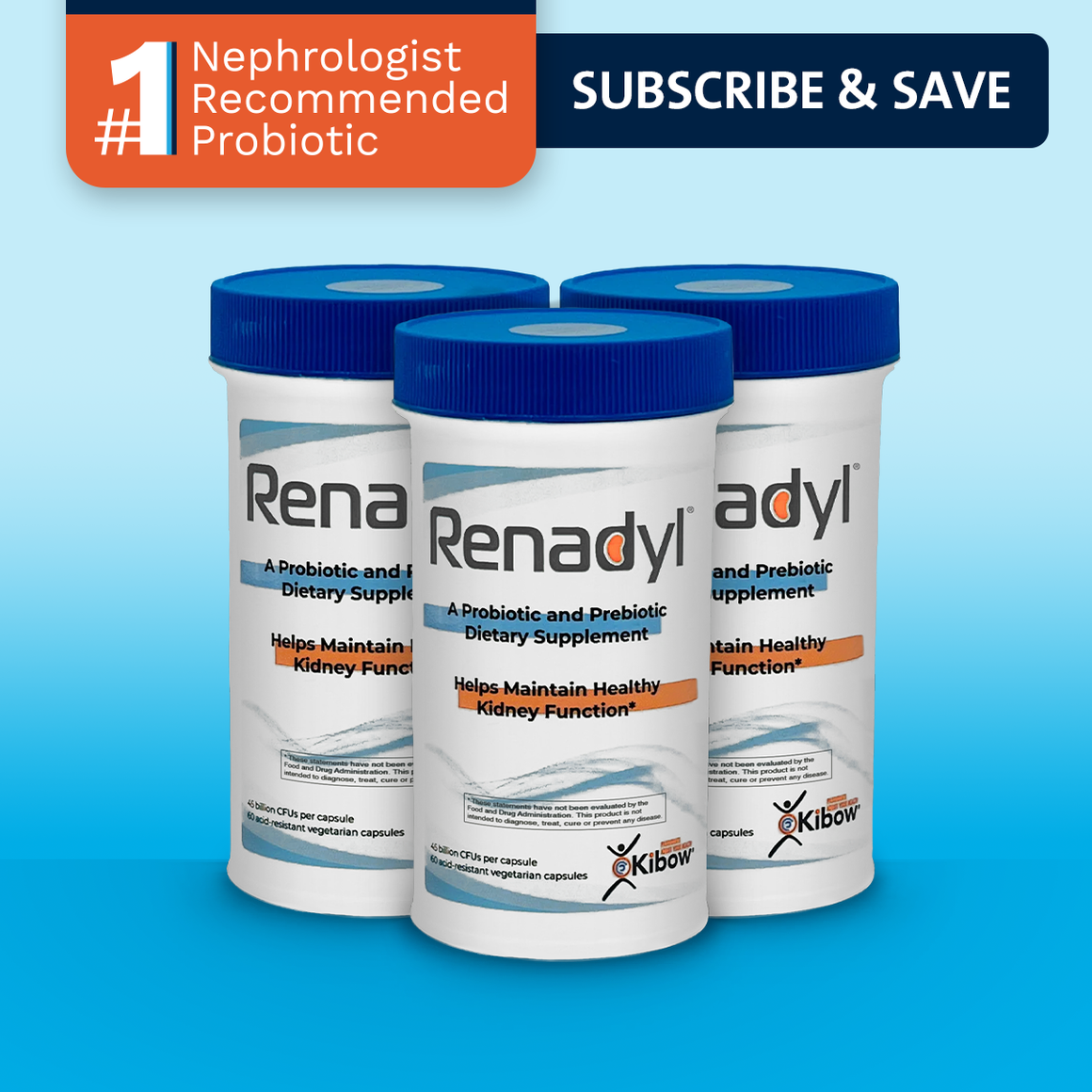 Renadyl™ - Probiotics for Kidney Health – Kibow