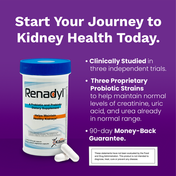 Renadyl™ - Probiotics for Kidney Health – Kibow