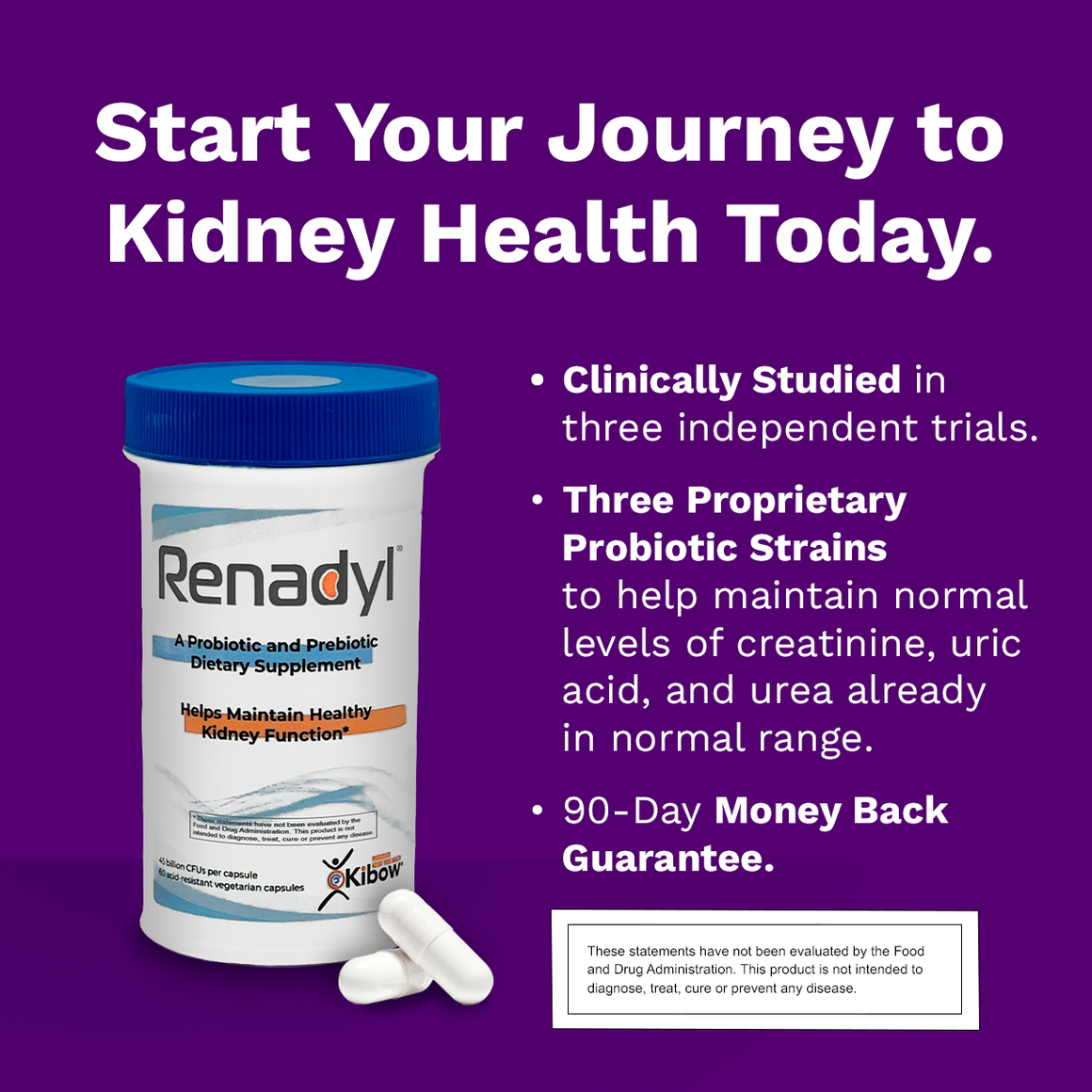 Buy Renadyl: Support for Healthy Kidneys | Kibow