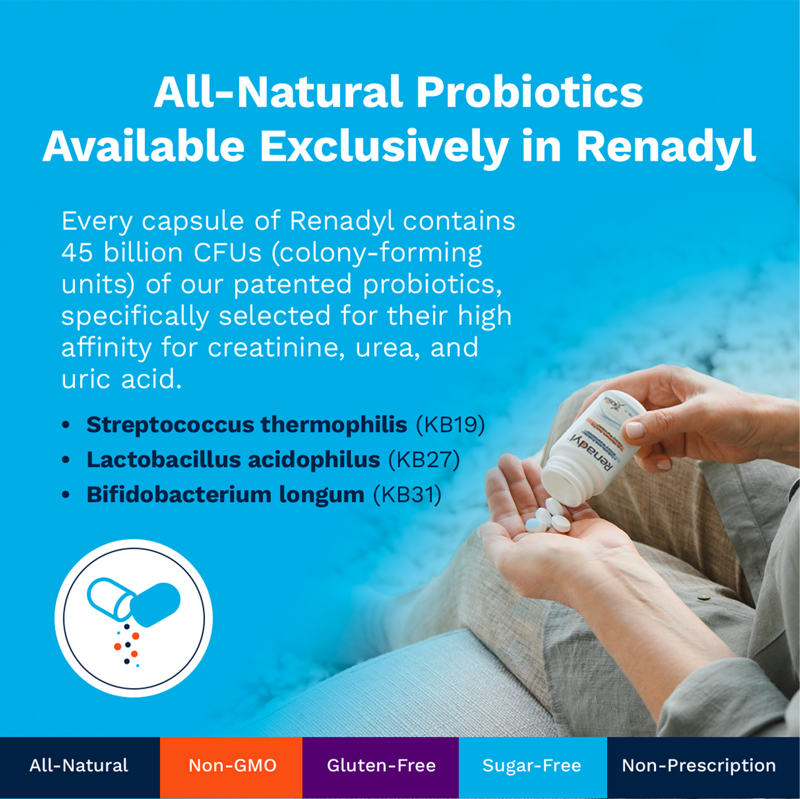 Renadyl™ - Probiotics for Kidney Health – Kibow